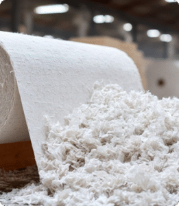 About KR Papers | 30+ Years of Renewable Paper Innovation